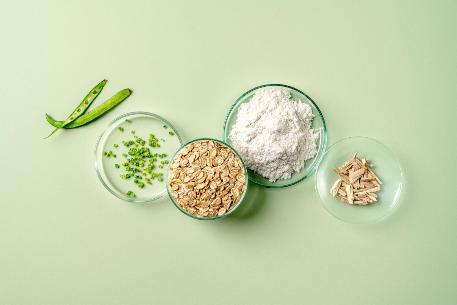 Berg+Schmidt Care Ingredients | Natural Cosmetic Raw Materials